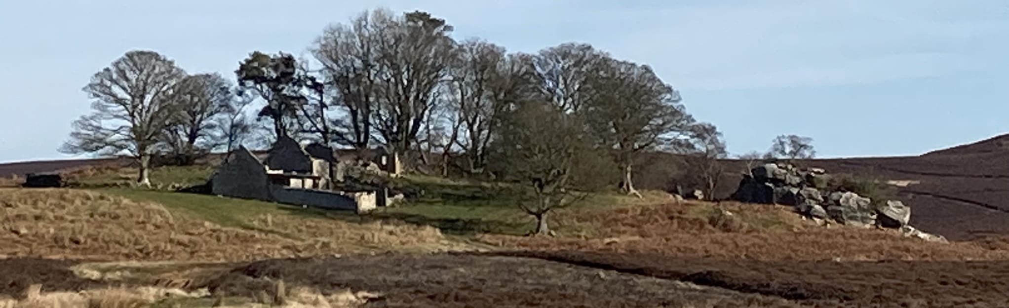 Old Bewick to Cateran Hole Circular, Northumberland, England - 12 ...