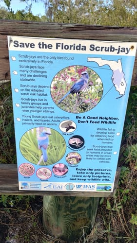 Best Hikes and Trails in Indrio Savannahs Preserve | AllTrails