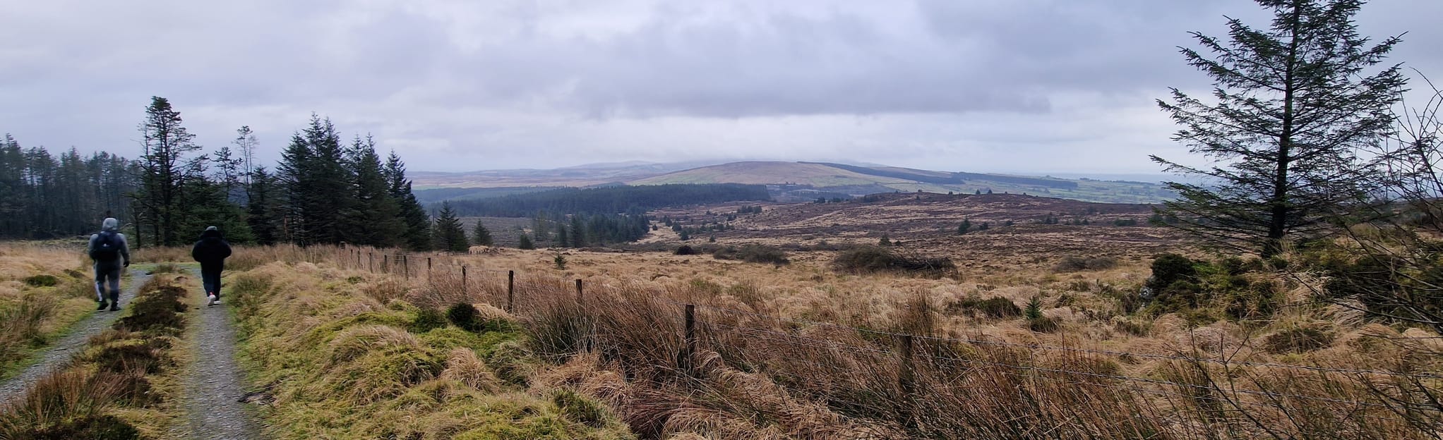 Davagh Forest Path - Tyrone, Northern Ireland | AllTrails