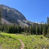 Kelly Lake Trail, Colorado - 105 Reviews, Map | AllTrails