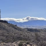 White Cliffs Wagon Trail, Arizona - 271 Reviews, Map | AllTrails