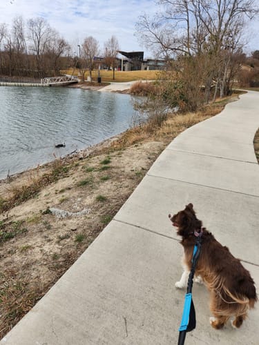 Best Hikes and Trails in Fischer Park | AllTrails