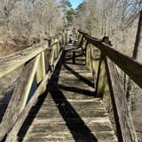 Gunter Hill Campground Loop, Alabama - 36 Reviews, Map | AllTrails