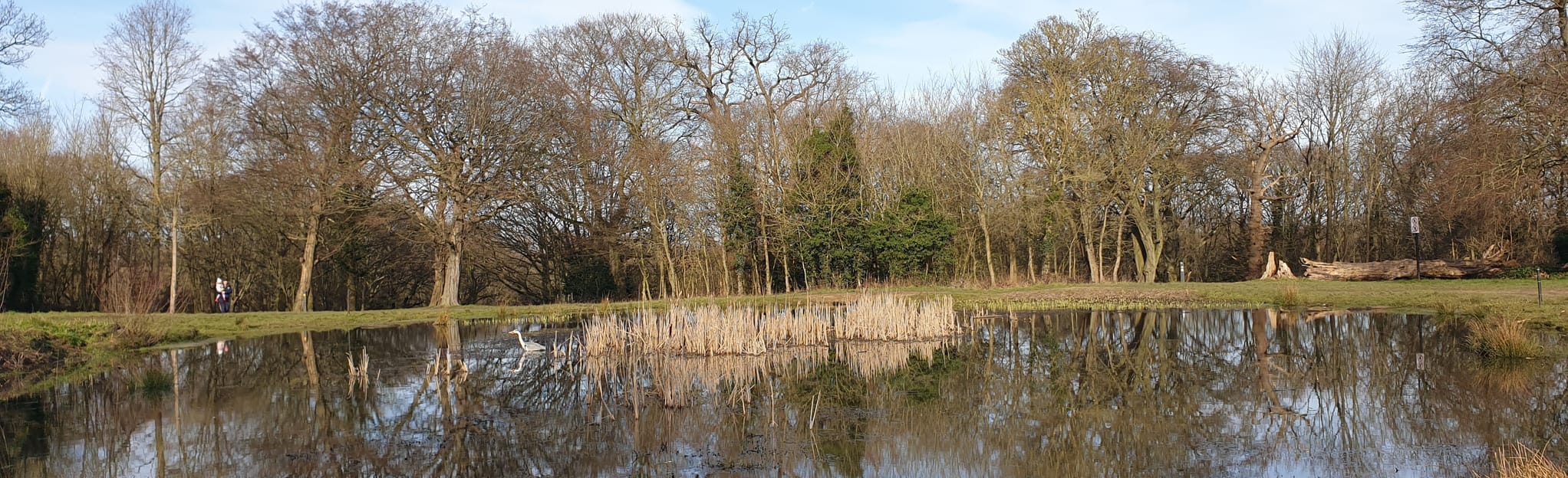 Capital Ring Walk Section 10: South Kenton to Hendon Park: 171 foto's ...