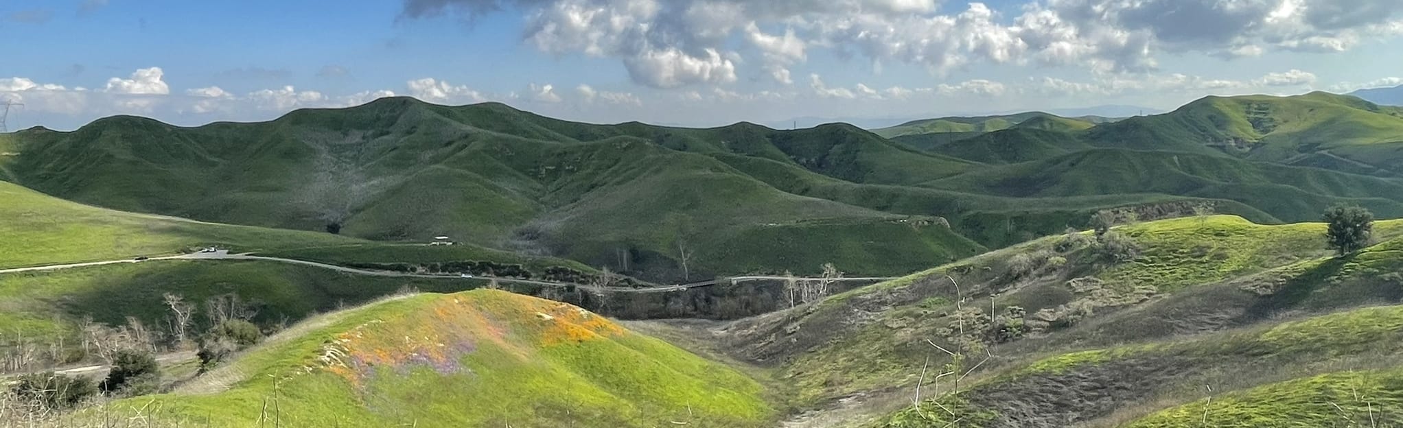 Bane Canyon Loop Trail, California - 1,812 Reviews, Map | AllTrails