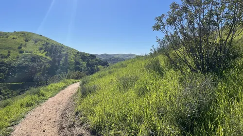Best Hikes and Trails in Irvine Regional Park | AllTrails