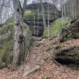 Ox Lot Cave via Rim Trail, Illinois - 345 Reviews, Map | AllTrails