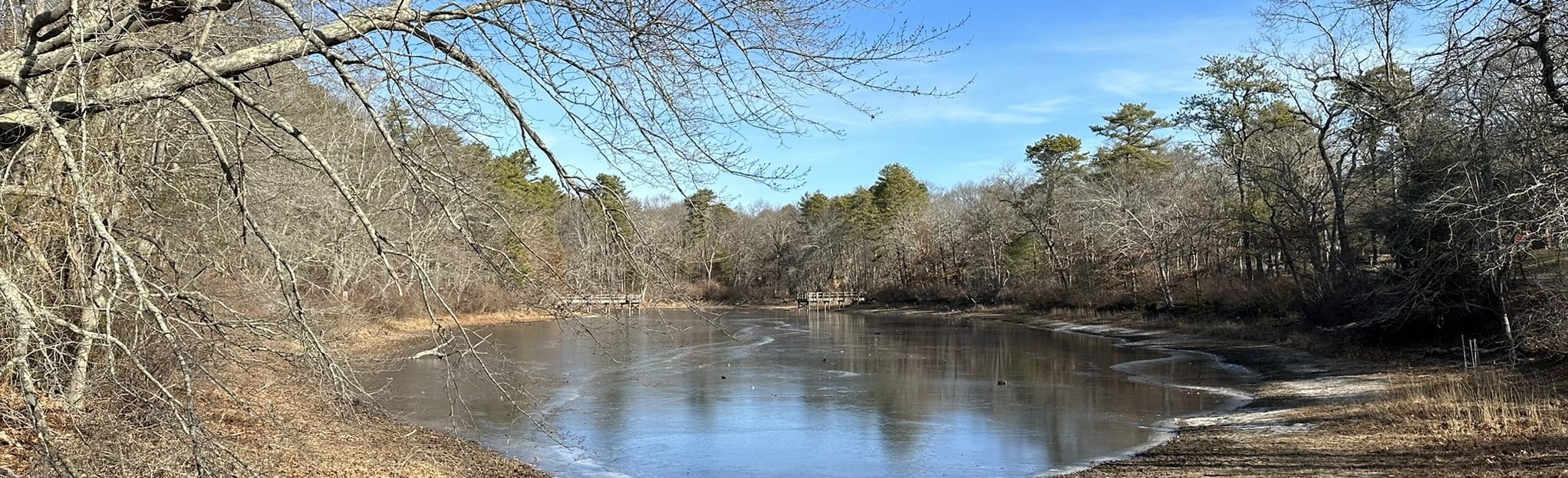 Ridge Trail: 171 Reviews, 188 Photos, Map - New York | AllTrails