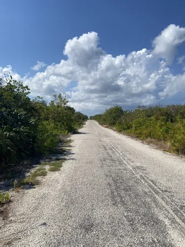 Best Hikes and Trails in Cayman Islands | AllTrails