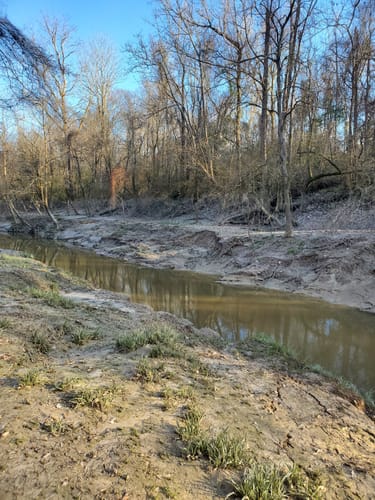 Best Hikes and Trails in Comite River Park | AllTrails