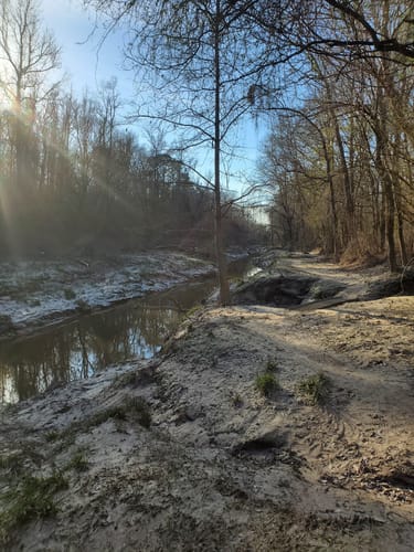 Best Hikes and Trails in Comite River Park | AllTrails