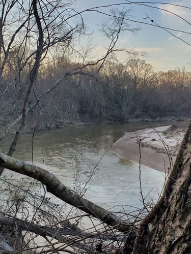 Best Hikes and Trails in Comite River Park | AllTrails