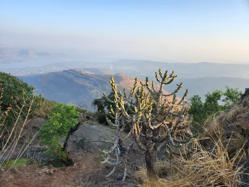 Best Historic Site Trails in Velhe | AllTrails