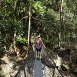 Flaxton Walkers Camp and Baxter Falls, Queensland, Australia - 319 ...