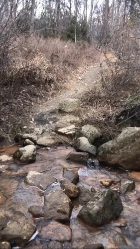 Best Hikes and Trails in Rocky Run Park | AllTrails