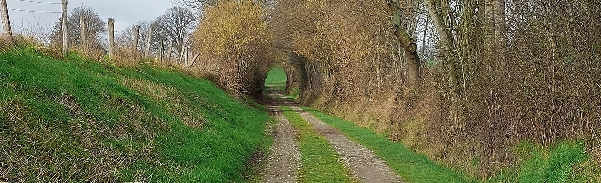 Rondom Binkom: 14 foto's - Vlaams-Brabant, België | Wandelen - AllTrails