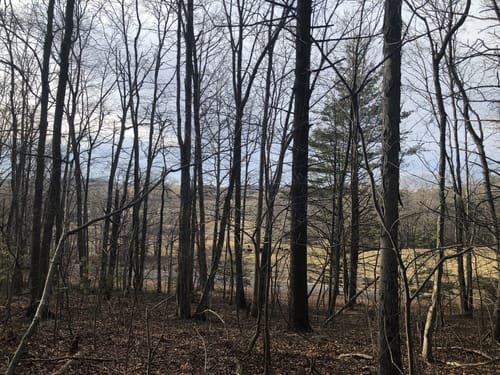 Best Hikes and Trails in Smart View Recreation Area | AllTrails