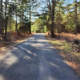 Two Rivers Park Trail, Arkansas - 738 Reviews, Map | AllTrails