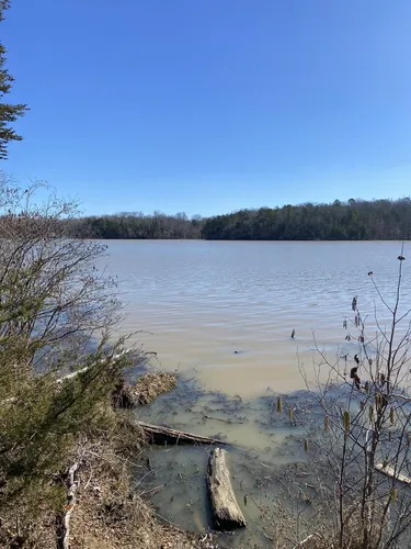 Best Hikes and Trails in Lake Thom-A-Lex Park | AllTrails