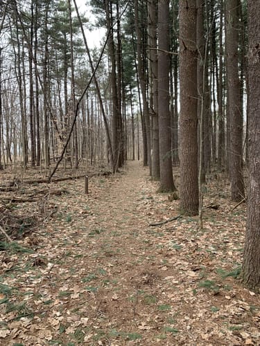 Best Hikes and Trails in Brukner Nature Center | AllTrails