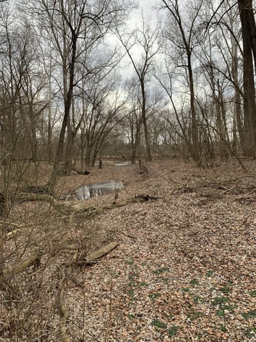 Best Hikes and Trails in Brukner Nature Center | AllTrails