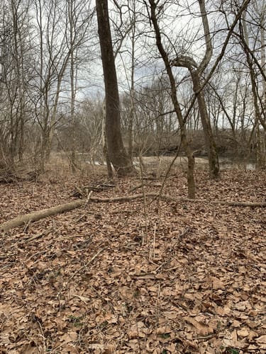 Best Hikes and Trails in Brukner Nature Center | AllTrails