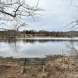 Silver Lake Loop, Virginia - 233 Reviews, Map | AllTrails
