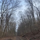 Bonner Park Loop, Pennsylvania - 305 Reviews, Map | AllTrails