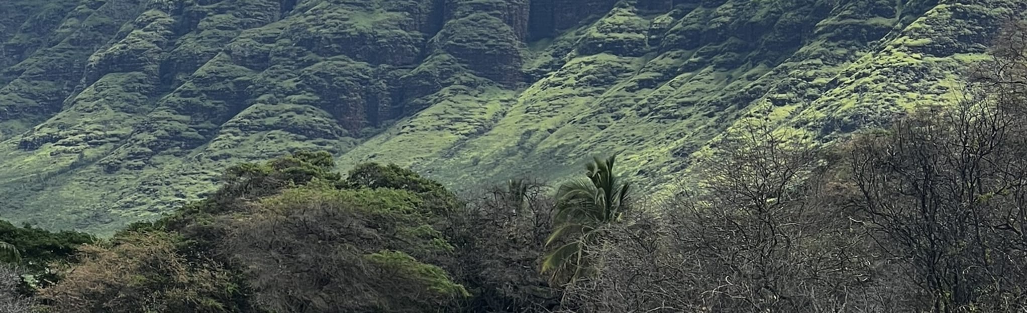 Lahilahi Point Trail, Oahu, Hawaii - 125 Reviews, Map | AllTrails