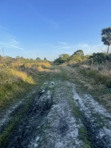 Best Hikes and Trails in Wolf Branch Nature Preserve | AllTrails