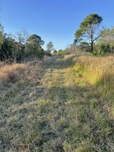 Best Hikes and Trails in Wolf Branch Nature Preserve | AllTrails