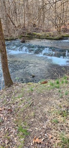 Best Hikes and Trails in Spring Place Park | AllTrails