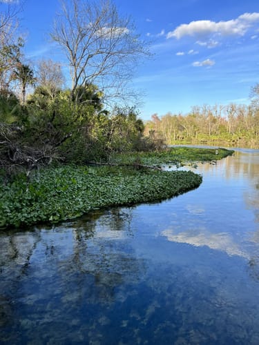 Best Hikes and Trails in Manatee Springs State Park | AllTrails