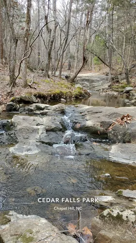 Best Hikes and Trails in Wilson Park | AllTrails