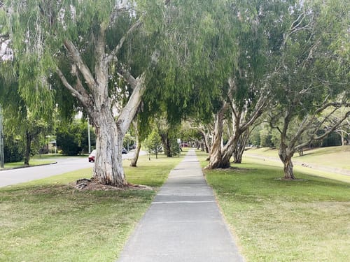 Best Hikes and Trails in 7th Brigade Park | AllTrails