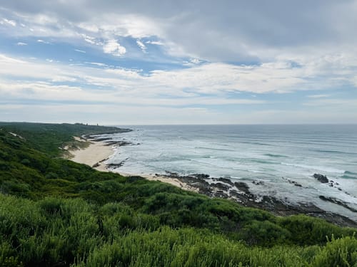 2023 Best 10 Trails and Hikes in Port Elizabeth | AllTrails