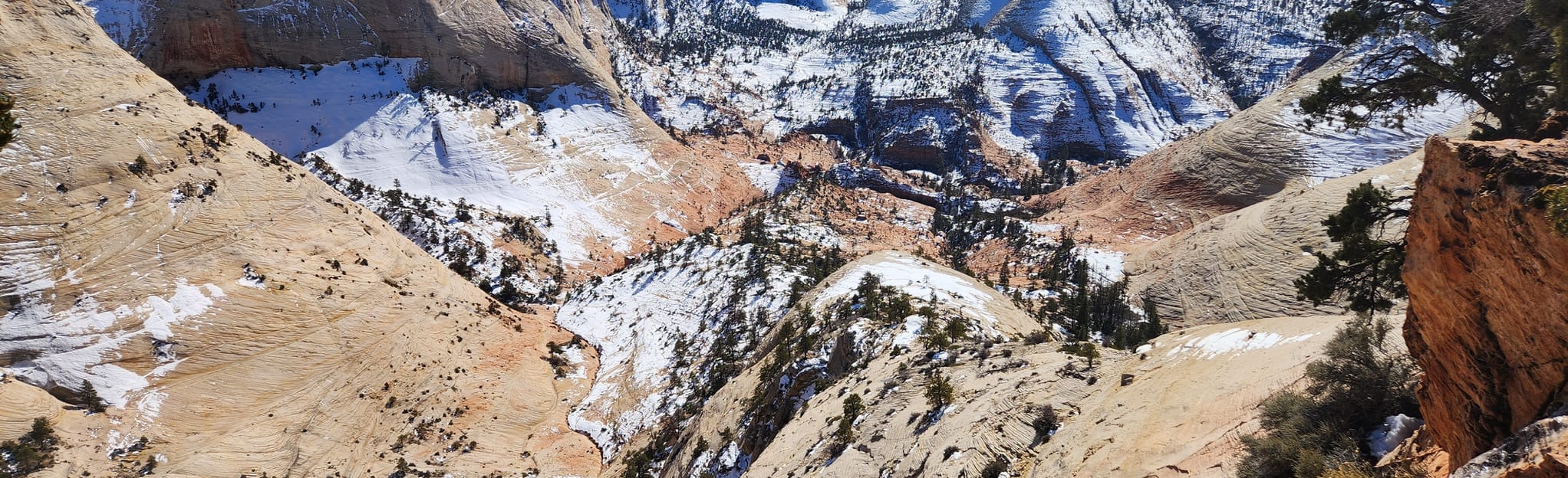 Jug Handle Arch Trail, Utah - 18 Reviews, Map | AllTrails