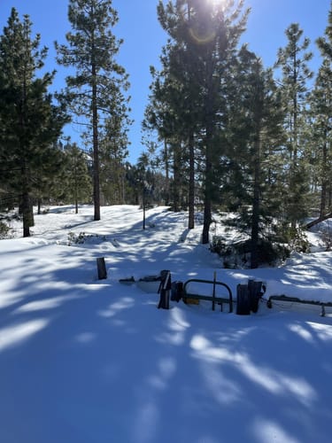 2023 Best Short Trails in Dunlap | AllTrails