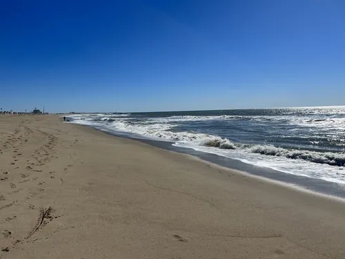 Best Hikes and Trails in Silver Strand State Beach | AllTrails