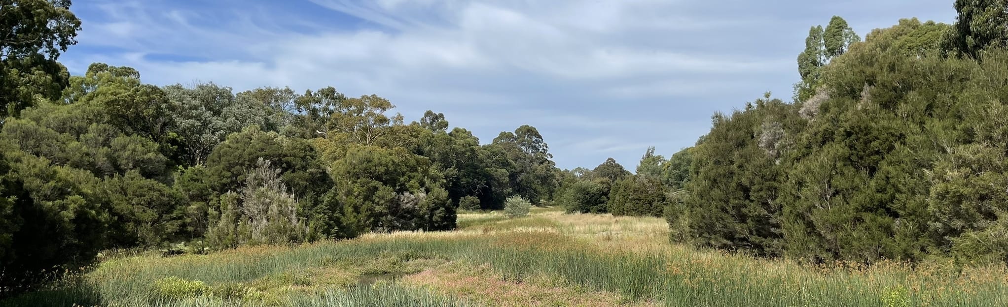 Scotchmans Creek Trail Loop: 80 Fotos - Victoria, Australien | AllTrails