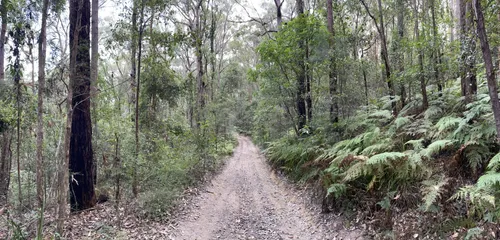 Best 10 Hikes and Trails in Jilliby State Conservation Area | AllTrails