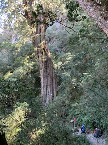 Best Hikes and Trails in Shuanggui Lake Major Wildlife Habitat | AllTrails