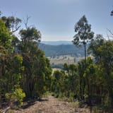Long Gully Track Loop, Victoria, Australia - 58 Reviews, Map | AllTrails