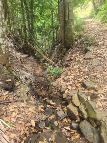 Best Hikes and Trails in Ravensbourne National Park | AllTrails