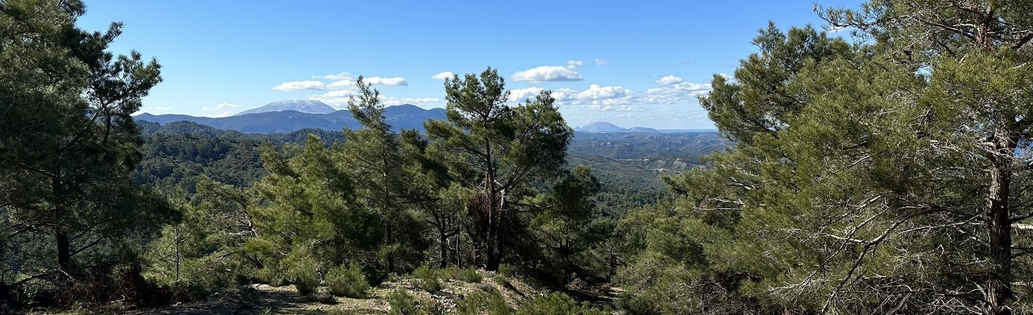 AllTrails | Butterfly Valley - Kalopetra Monastery - Koutrouvelos Loop ...