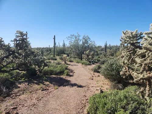 Best Hikes and Trails in Peralta Regional Park | AllTrails