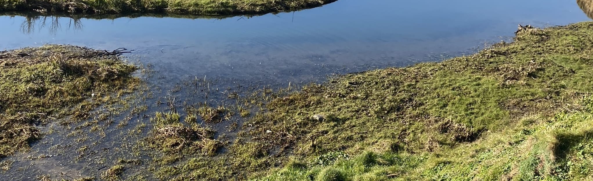 Coombe Valley Circular, Cornwall, England - 10 Reviews, Map | AllTrails