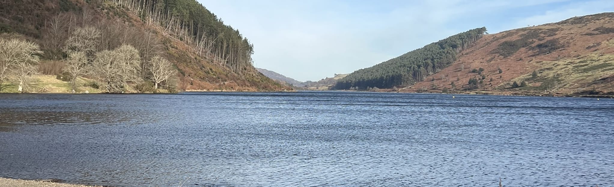 Llyn Geirionydd Circular, Conwy, Wales - 42 Reviews, Map | AllTrails