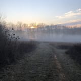 Assunpink Wildlife Management Area Trails, New Jersey - 205 Reviews ...