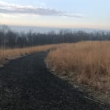 Assunpink Wildlife Management Area Trails, New Jersey - 205 Reviews ...